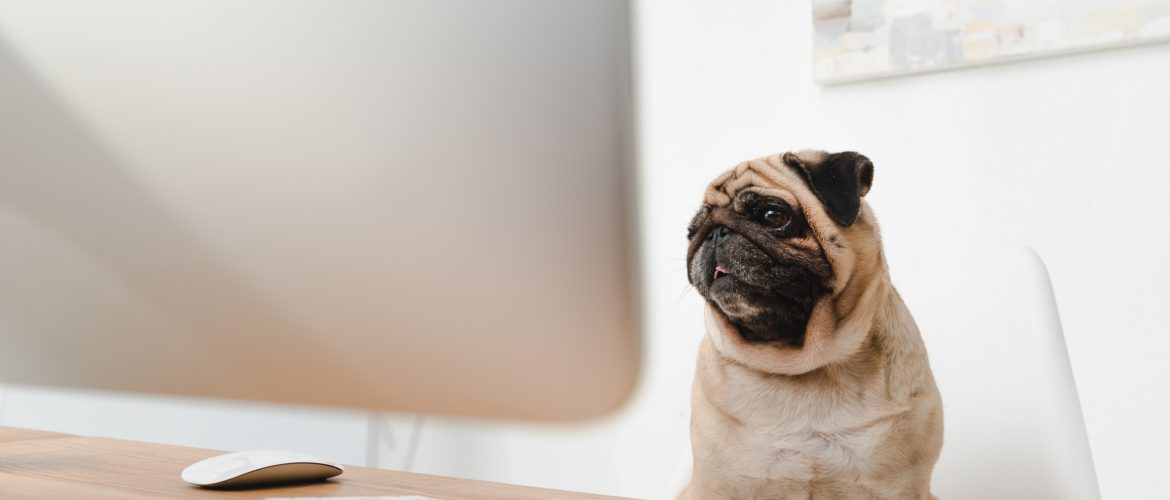 Dogs in the Workplace | An Update on Employer Liability for Dog Bites ...